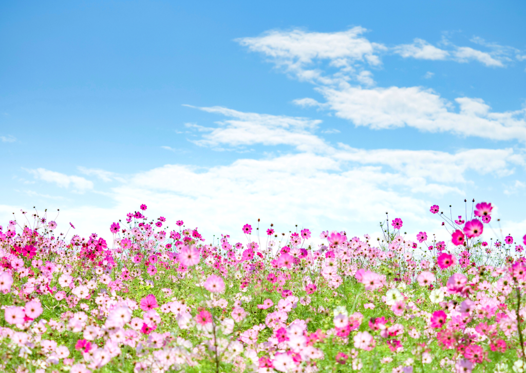 Spring has Sprung – It’s Time for Spring Festivals around Asia - Secret ...