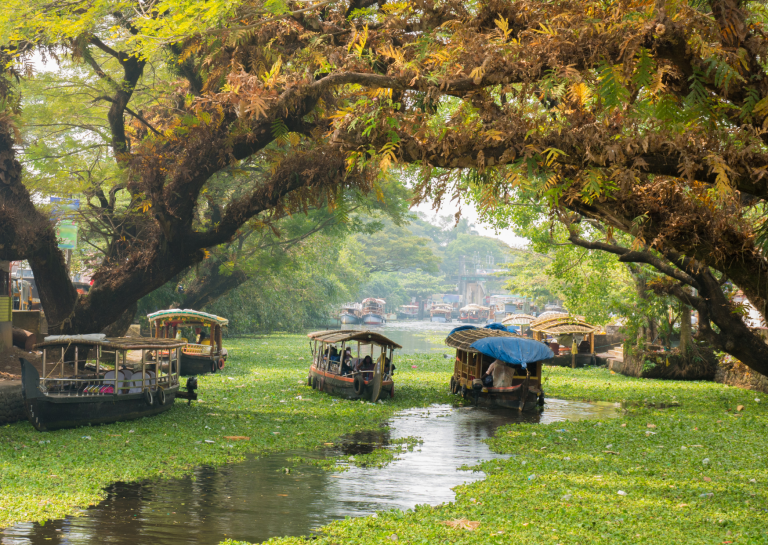 Hidden Treasures of Kerala: Backwaters, Wayanad, and the Malabar Coast ...