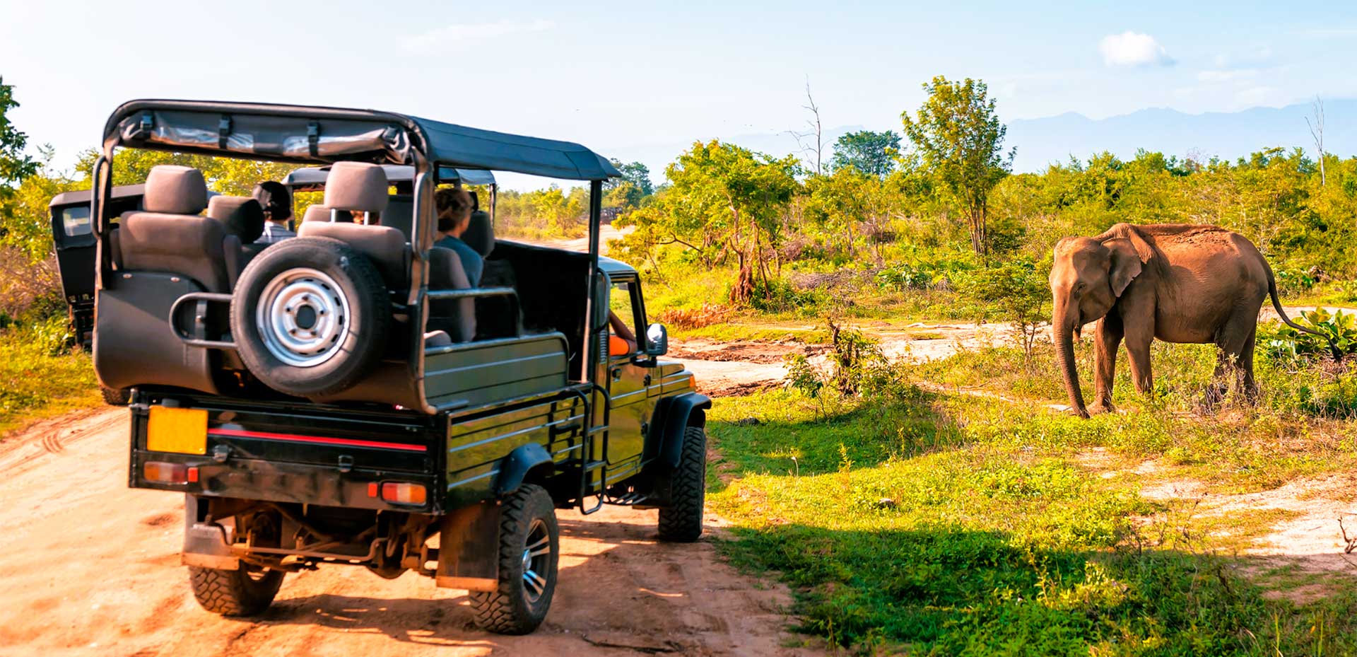 Wildlife Tours Asia: Discover the Best Safaris - Secret Retreats